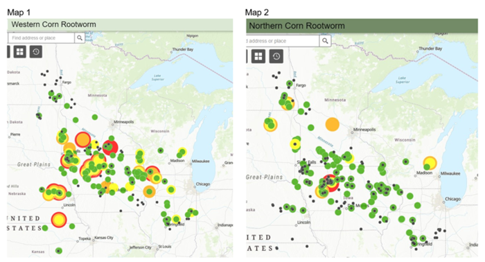 Amvac Releases Its 2023 Corn Rootworm Outlook The Scoop